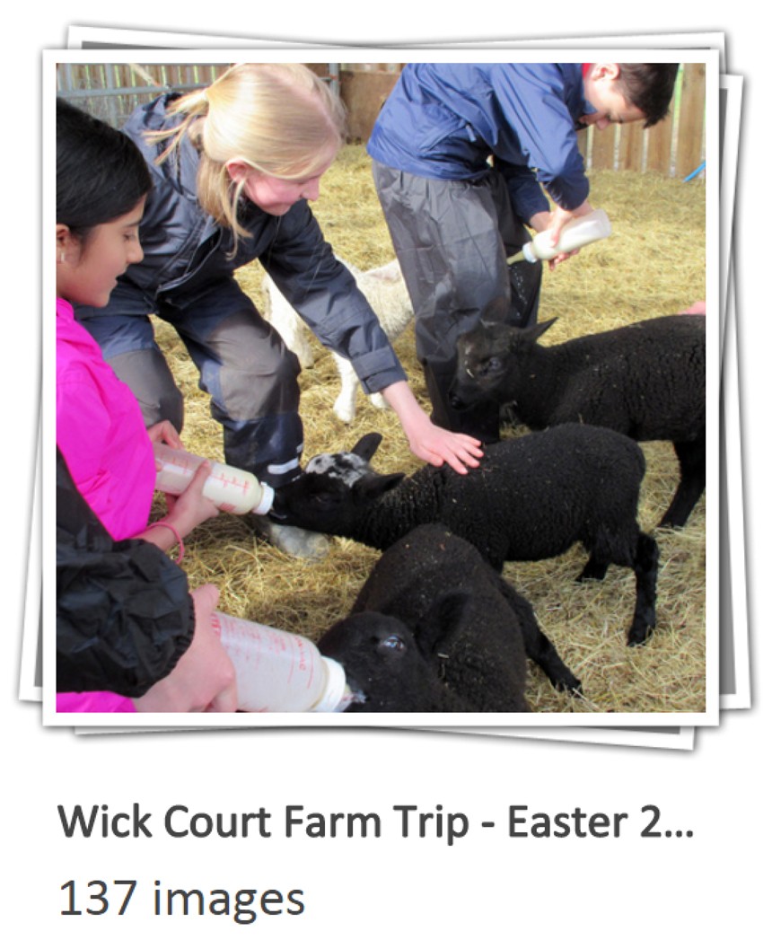 Arts Activity Week at Wick Court Farm | St John's College School